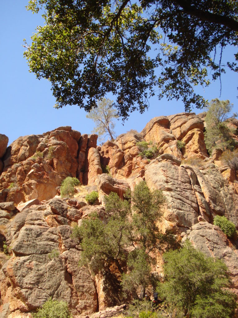 San Francisco to San Miguel, Part I - Howard Ahmanson Jr