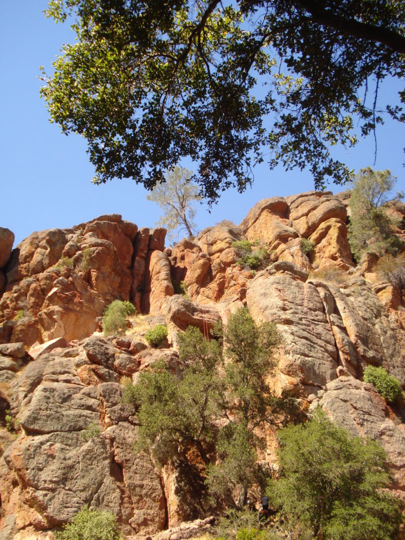San Francisco to San Miguel, Part I - Howard Ahmanson Jr